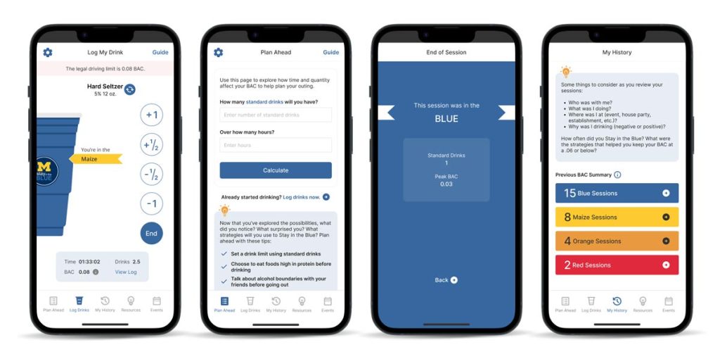 Stay in the Blue - Logic Solutions